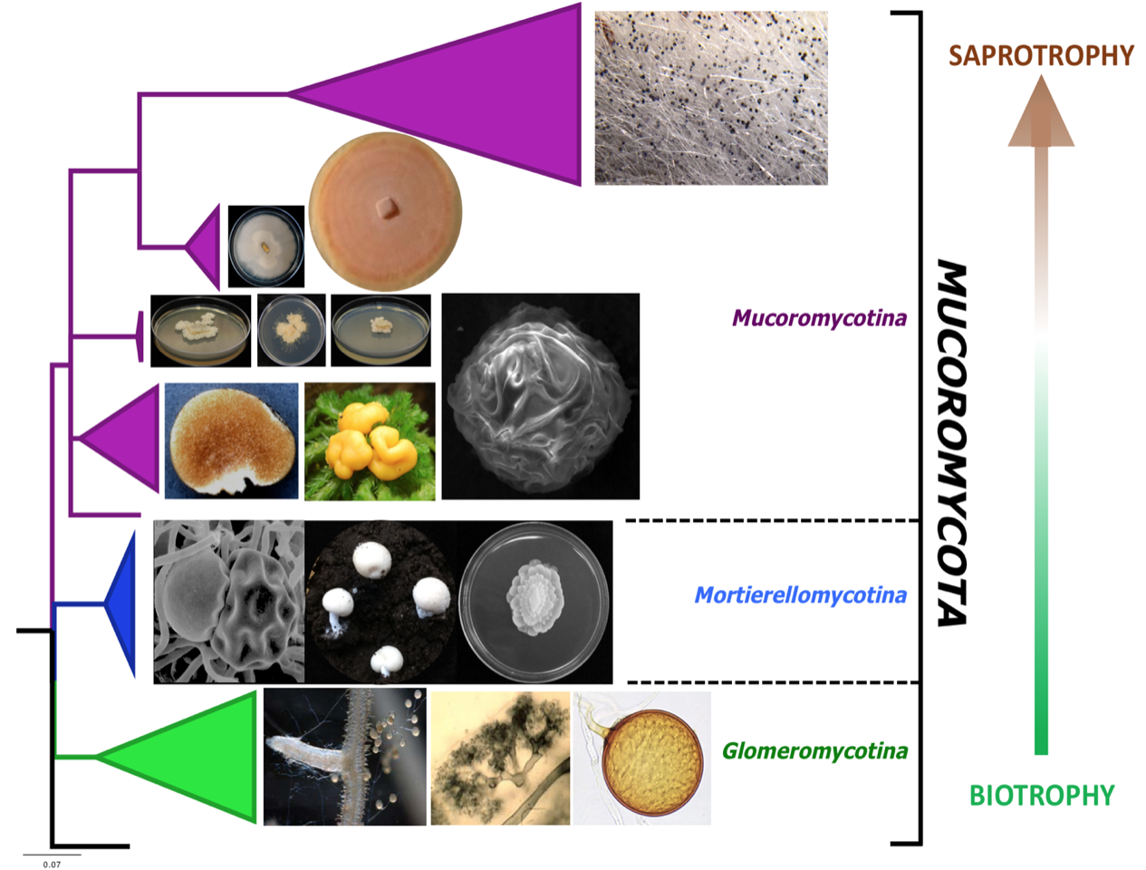 Michigan State University